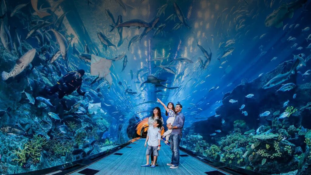 Dubai Aquarium & UnderWater ZOO